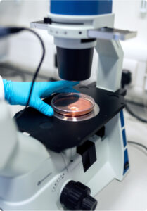 Control Union Global - Testing, Inspection & Certification (TIC)