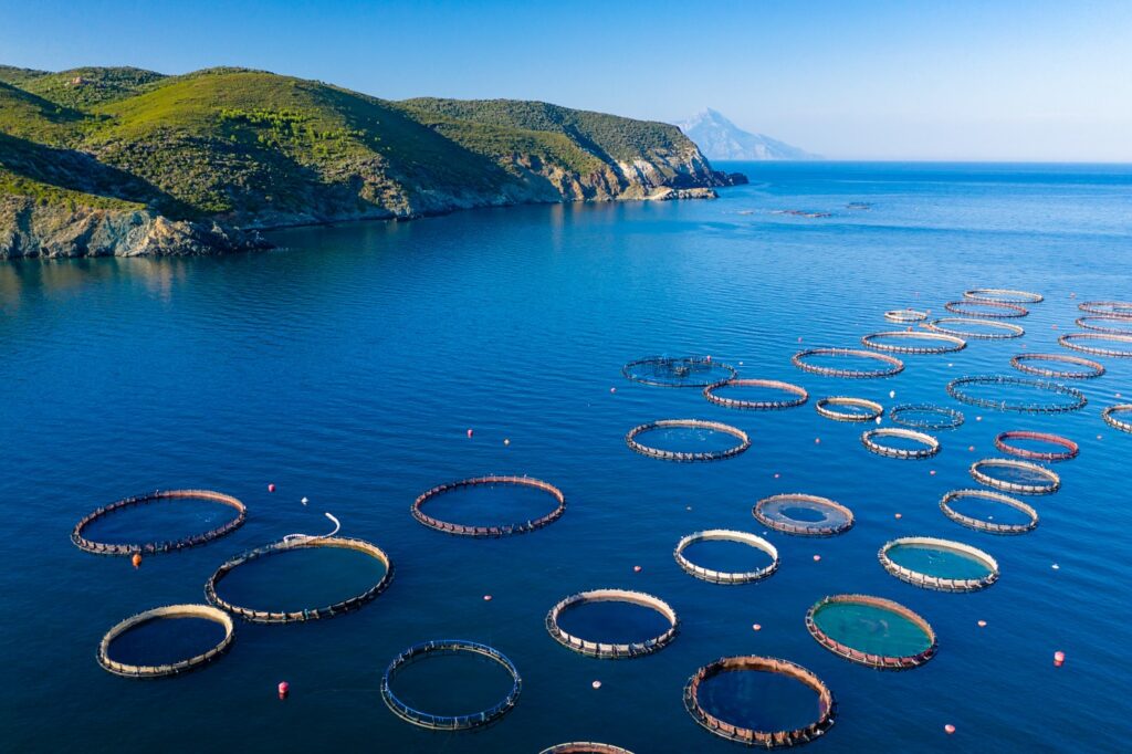 Aquaculture and fisheries industry - Control Union Aquaculture and fisheries industry - Control Union