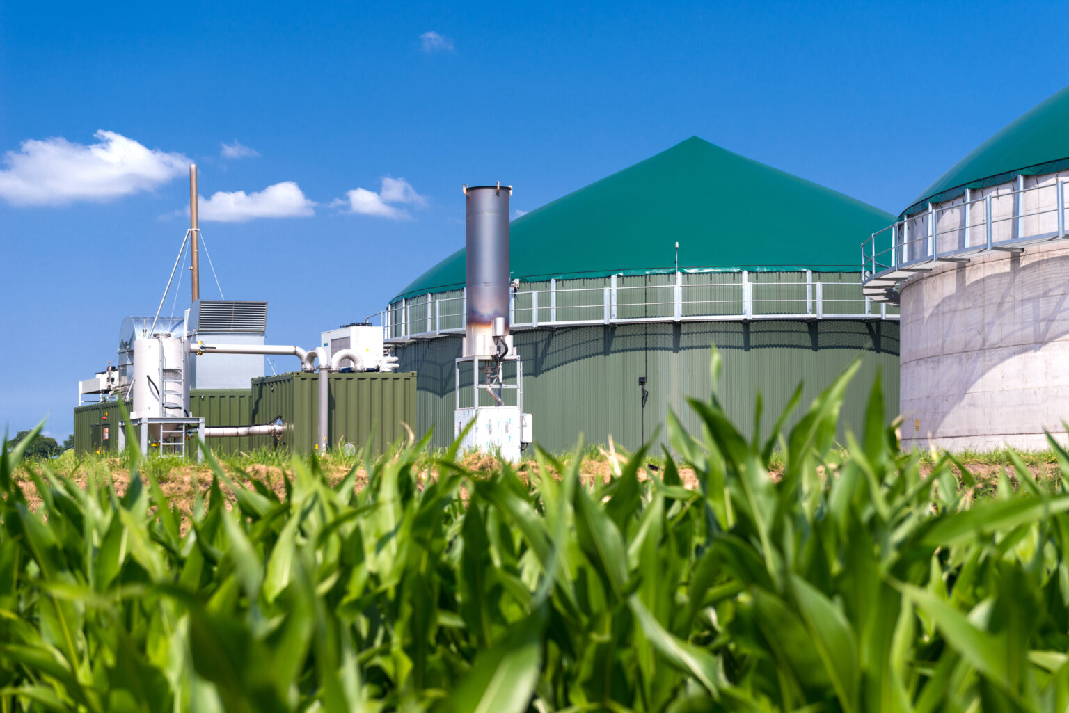 Biomass and biofuels industry - Control Union Global