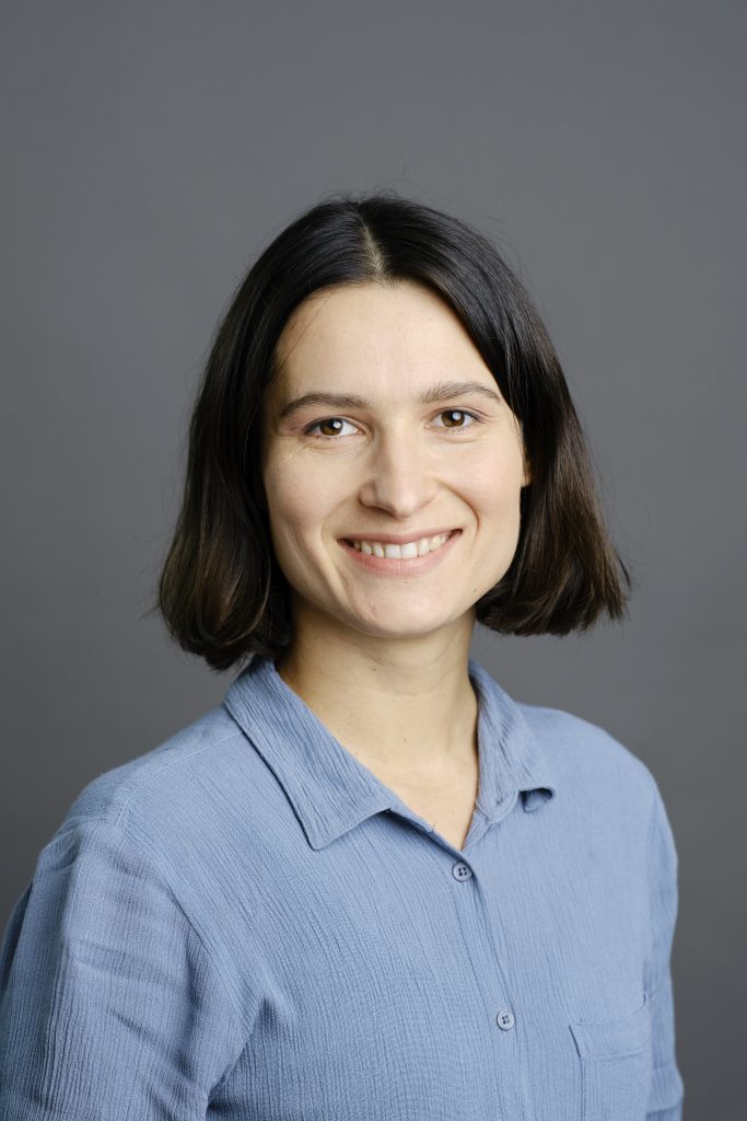 Verified Carbon Standard - VCS project Validation and Verification ...