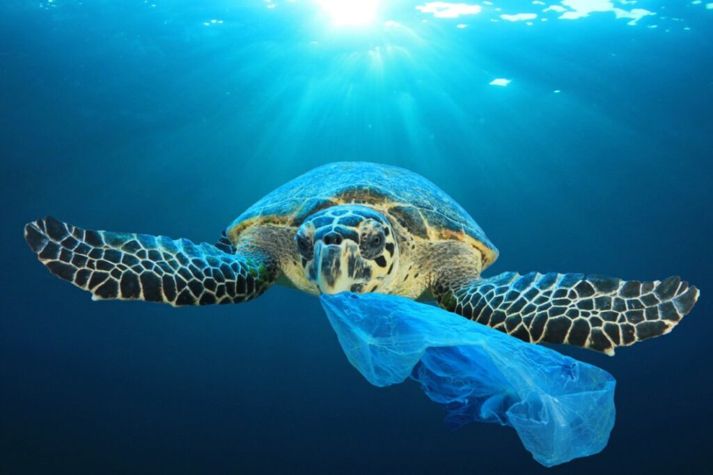 OBP - Ocean Bound Plastic certification - Control Union Global