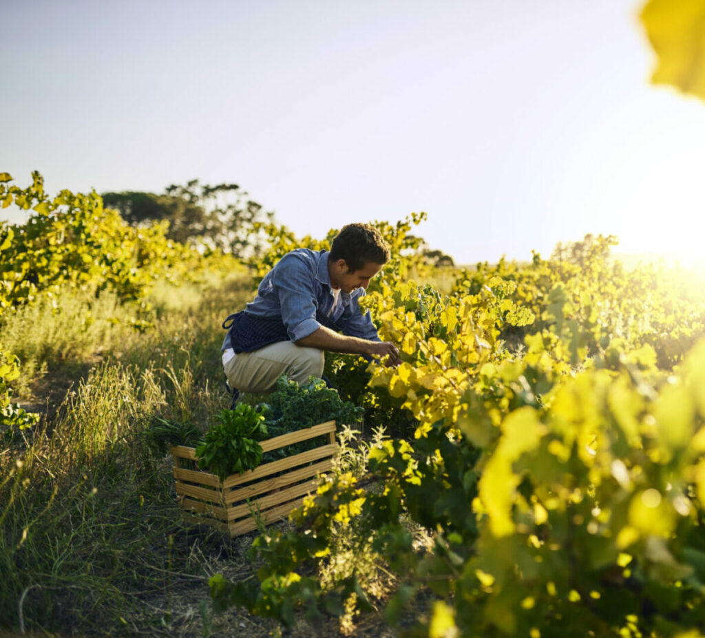 regenagri® - Control Union Global