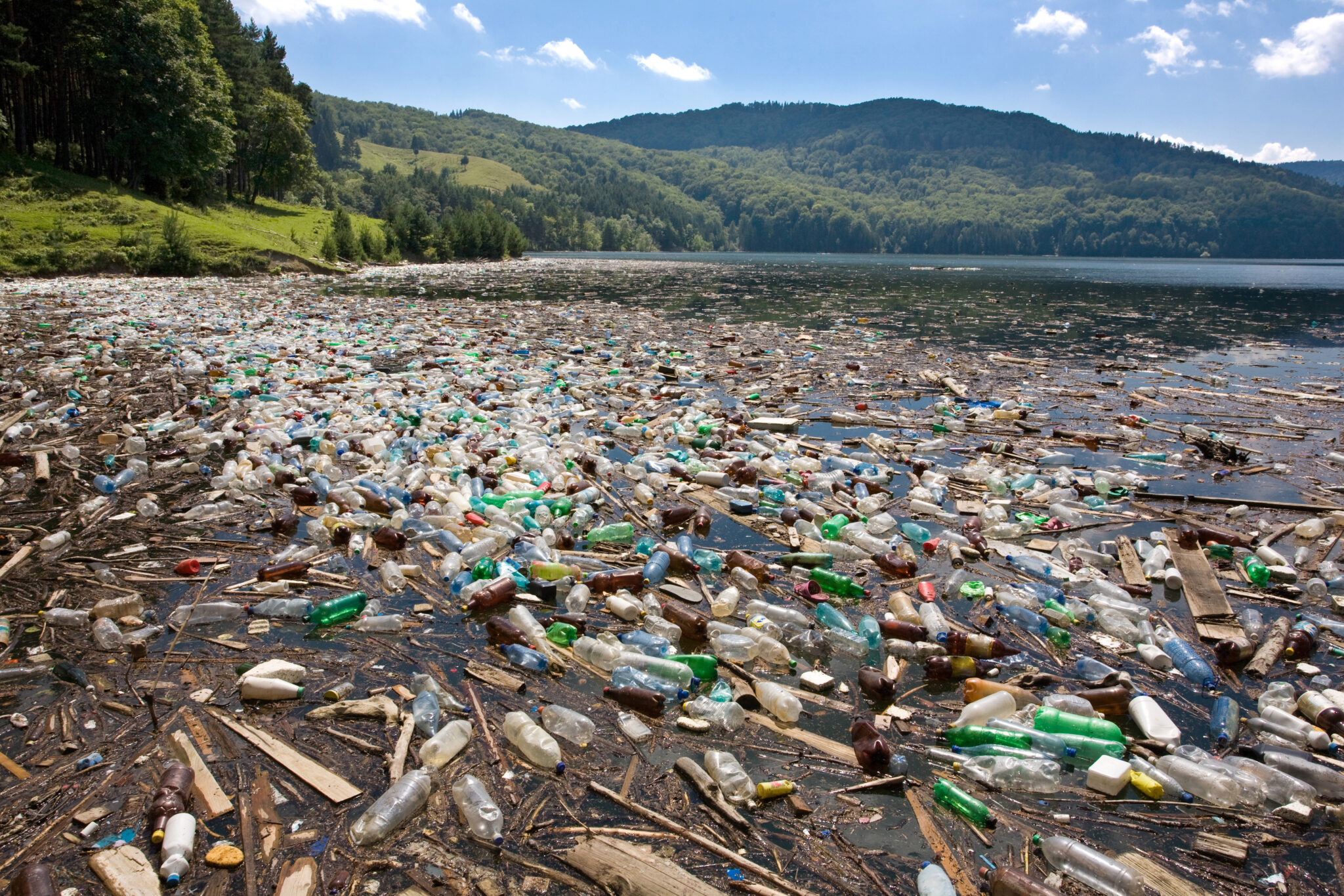 Plastic Free Certification - Control Union Global
