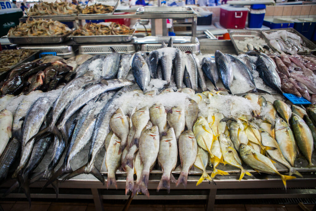 MSC - Marine Stewardship Council - Control Union Global