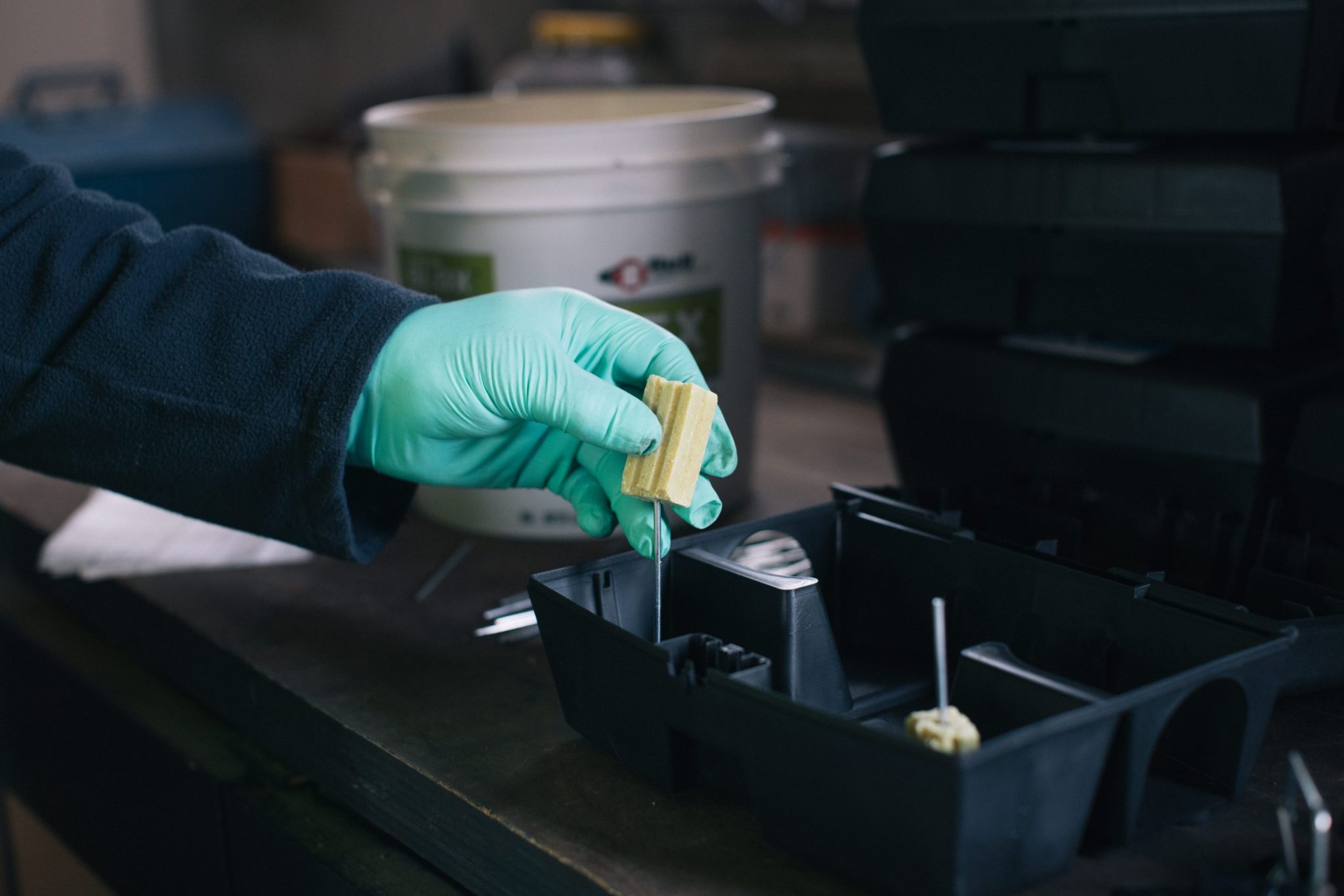 Integrated pest management - Control Union Global