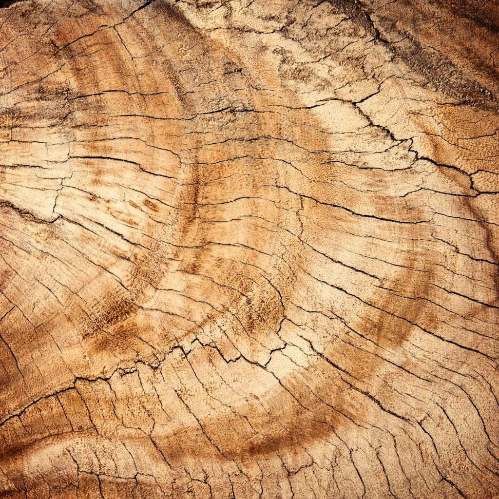 EU Timber Regulation - Control Union Global