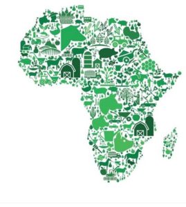 Commodity inspections - Control Union Global