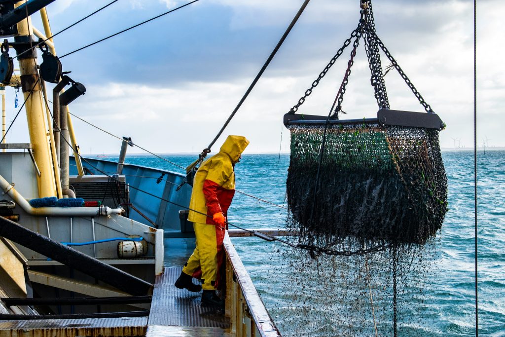 CSI - Certified Seafood International